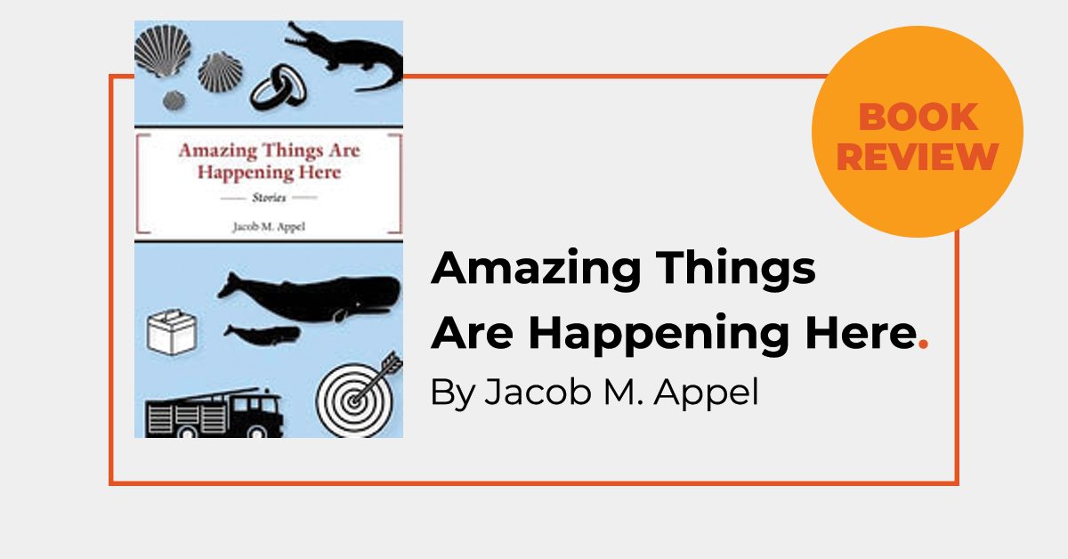 Book Review: Amazing Things Are Happening Here | Shelf Media Group