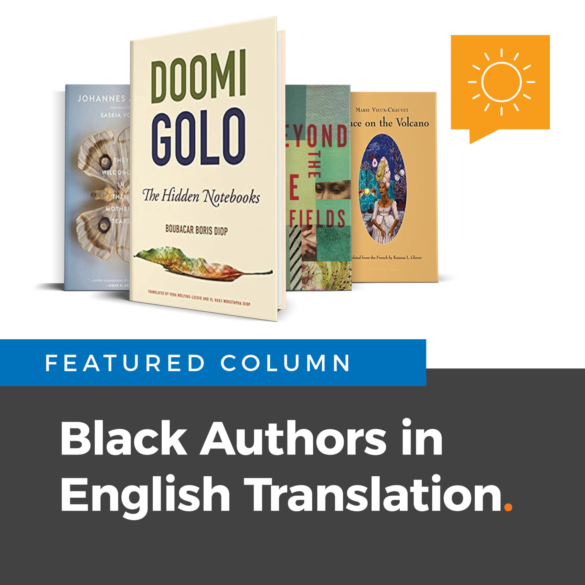 Black Authors in English Translation | Shelf Media Group